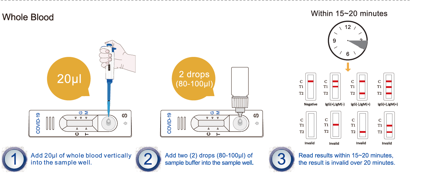 Coronavirus (COVID-19) Rapid Test | Your Reliable Supplier of IVD Products